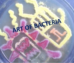 Microbial Art: Introduction, Requirements, Making Procedure and Uses