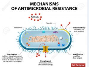 Antimicrobial Resistance: Introduction, types and mechanism