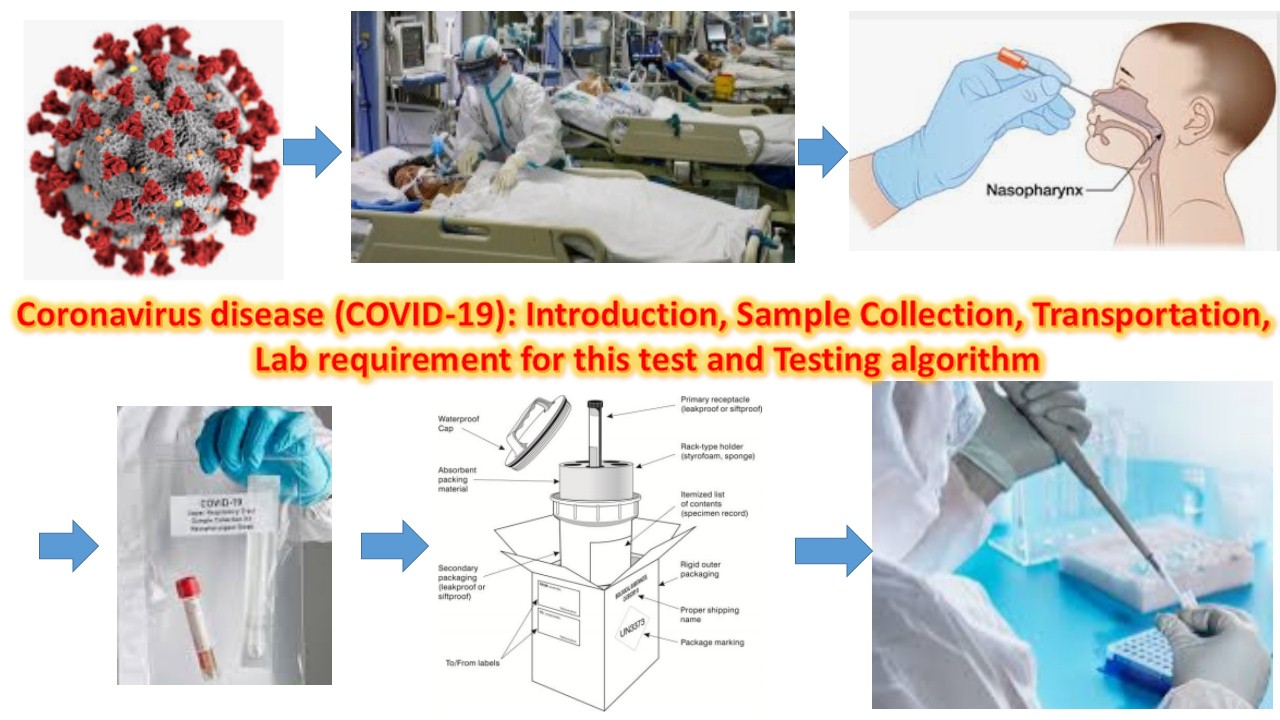 Coronavirus disease (COVID 19): Introduction, Sample Collection