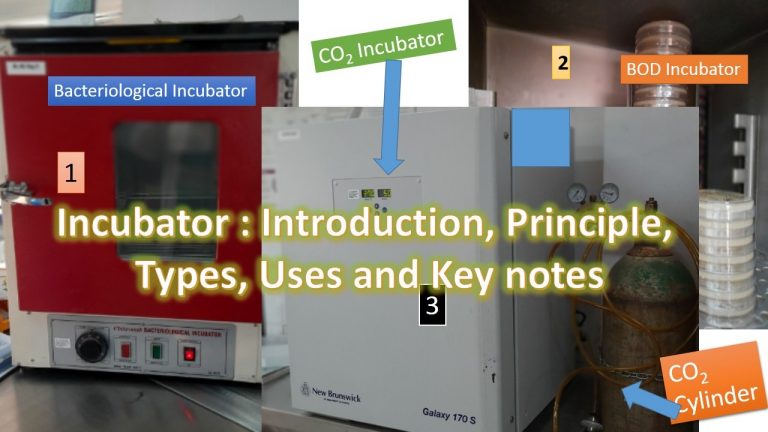Incubator : Introduction, Principle, Types, Uses and Key notes