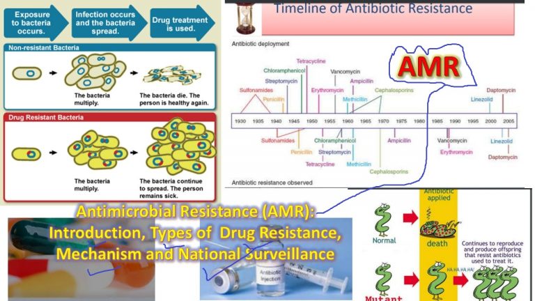 Antimicrobial Resistance (AMR): Introduction, Types of Drug Resistance