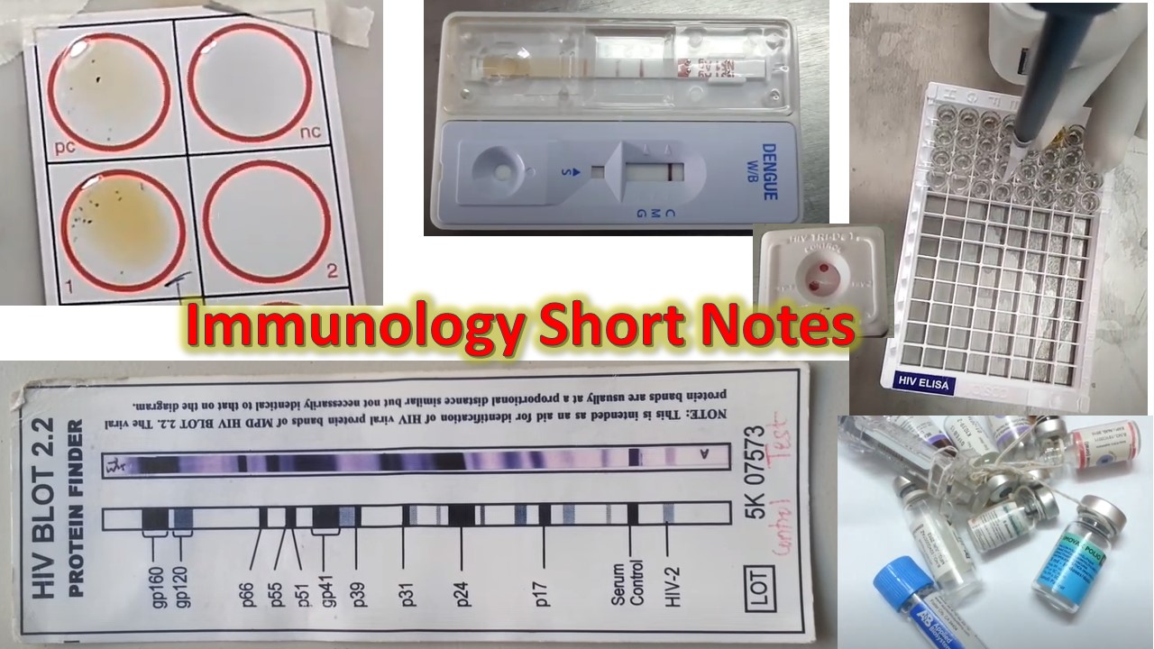 Immunology Short Notes: Introduction and Related topics