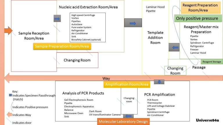 Molecular Laboratory Build Up: Introduction, Design, Requirements, Labor