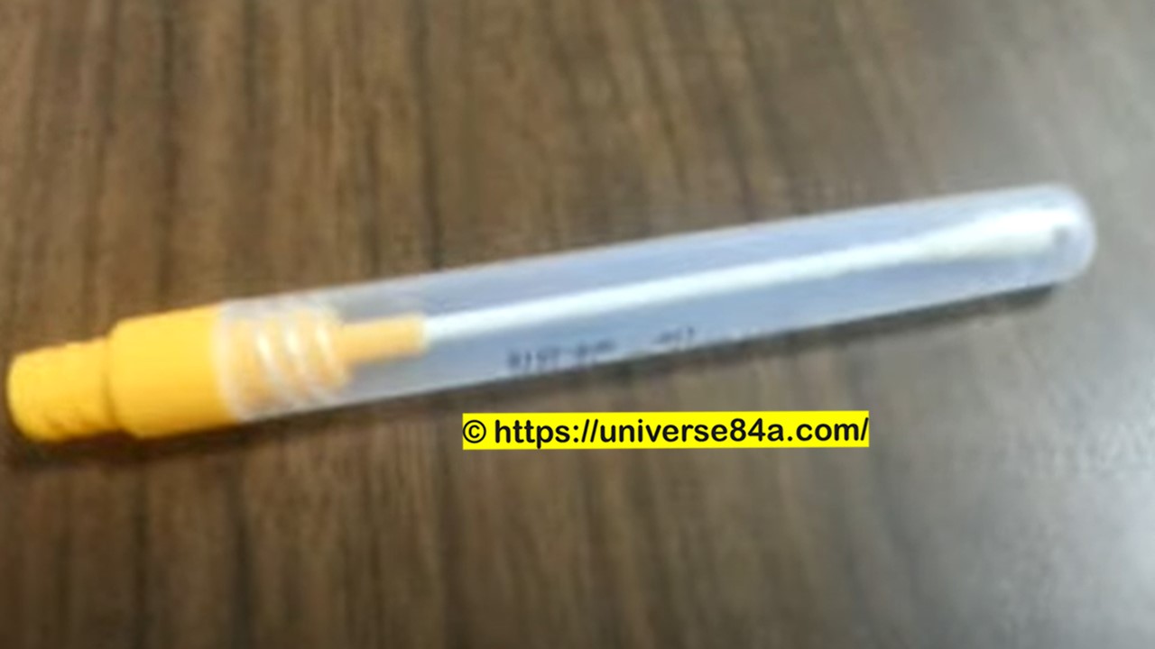 Vaginal Swab Culture and Sensitivity Test-Introduction, Report, Clinical